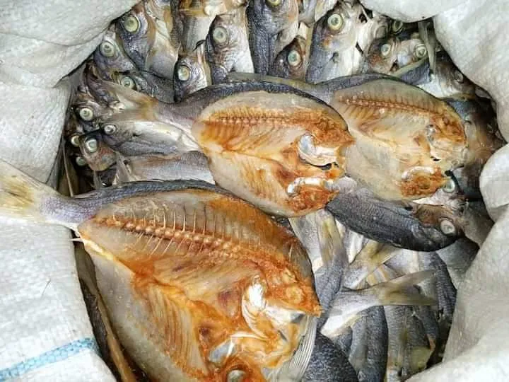 TUYO DALAGANG BUKID / DRIED FISH 1/2 KILO | Lazada PH