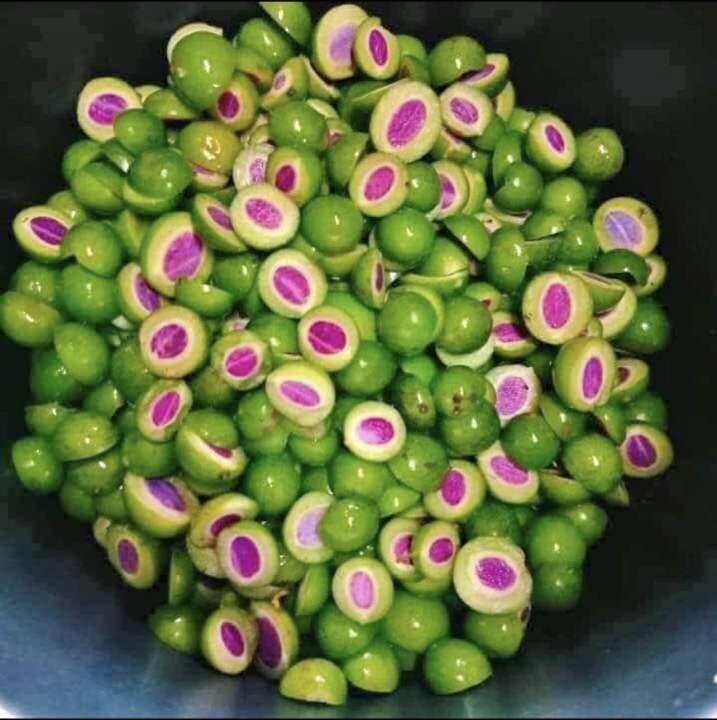 BUAH KUNDANG ATAU BUAH STAR MUDA BARU PETIK DARI POKOK | Lazada