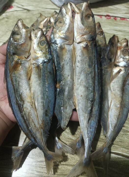 Pinakas Galonggong dried fish 250g | Lazada PH