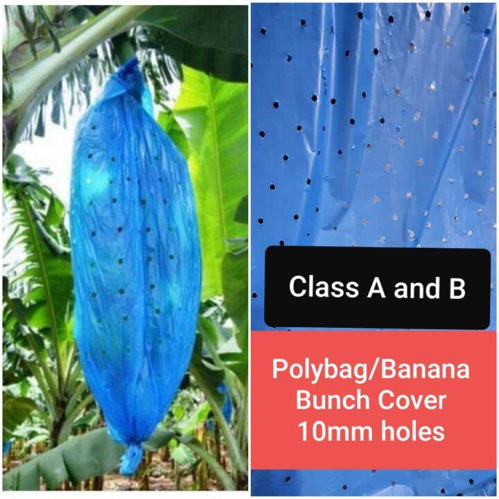 10 kgs Banana Bunch Cover / Banana Protection Bag / Blue Polybag (CLASS ...