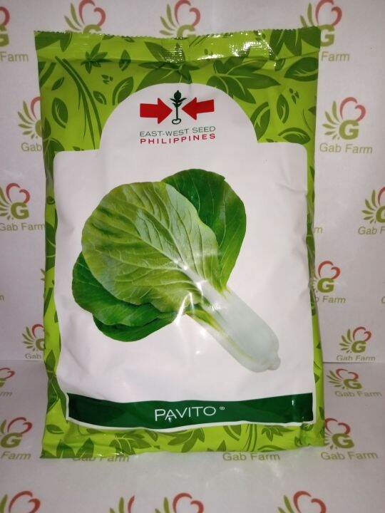 East-West Seed Pavito Pechay (1kg) | Lazada PH