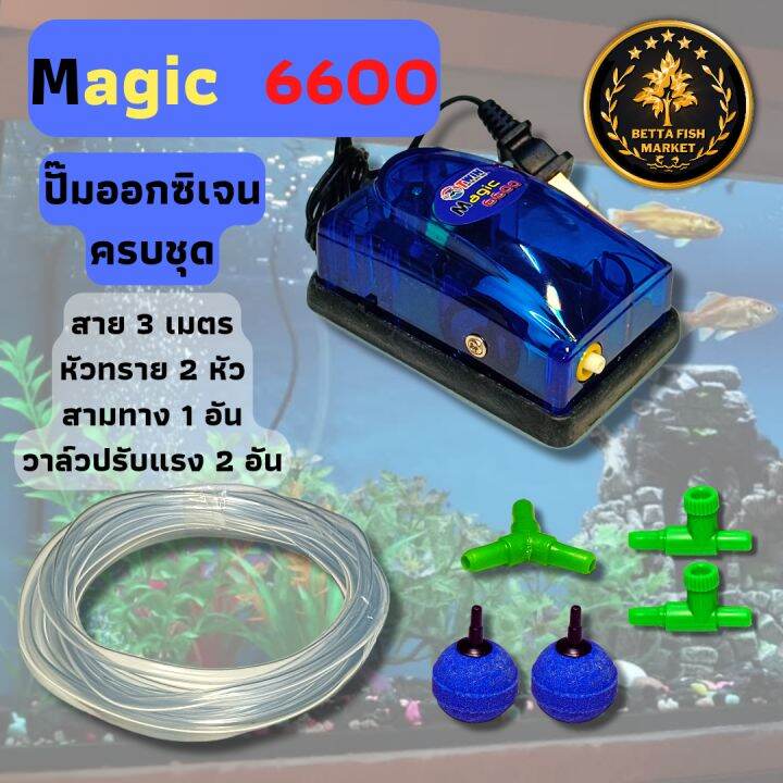 ชุดปั๊มลม ปั๊มออกซิเจนตู้ปลา 1 ทาง Magic 6600 ควบคุมแรงลมได้ | Lazada.co.th