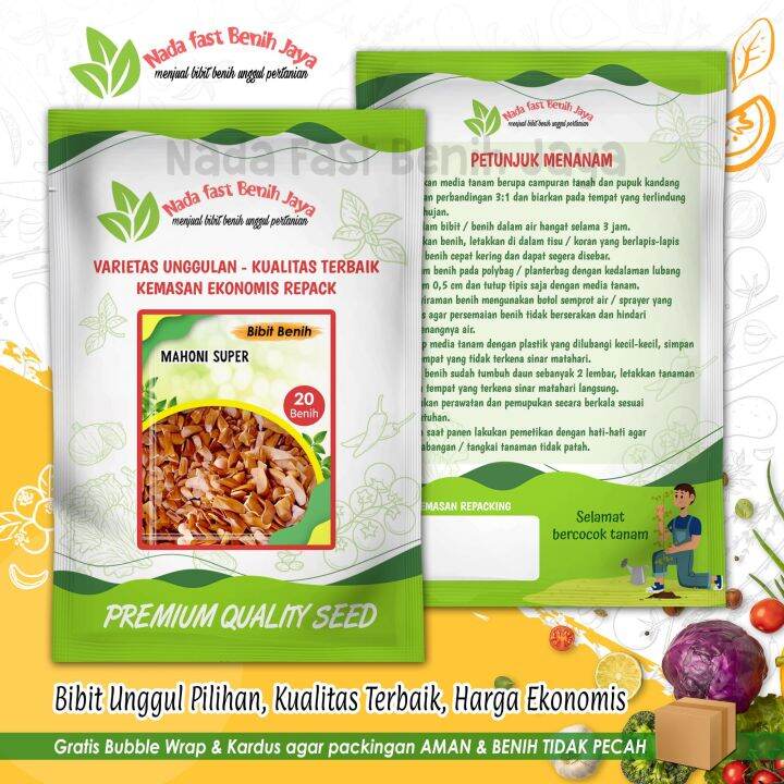 Benih bibit mahoni super 20 biji / Bibit Pohon Mahoni | Lazada Indonesia