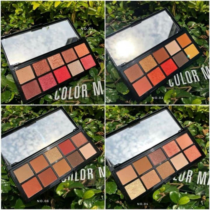 HOJO SHINE COLOR MASTER eyeshadow palette 10 color อายแชโดว์ พาเลททาตา ...