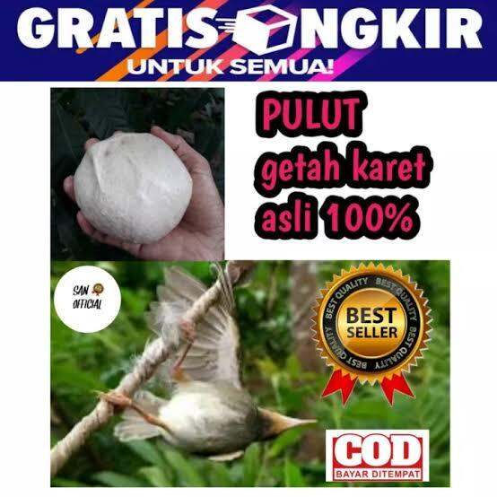 pulut burung getah karet asli 100%siap pakai lem pikat burung | Lazada ...