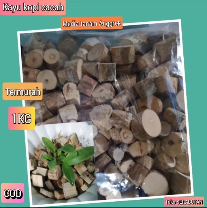 1 kg Kayu kopi cacah Media tanam anggrek | Lazada Indonesia
