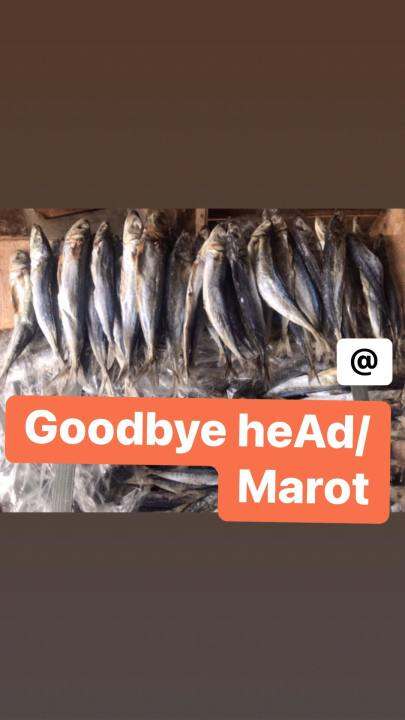 bye head | Lazada PH