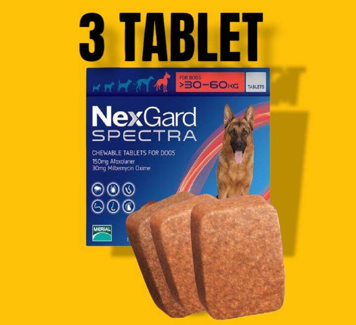 Nexgard Spectra Chewable tablet 30-60kg (1Box) | Lazada PH