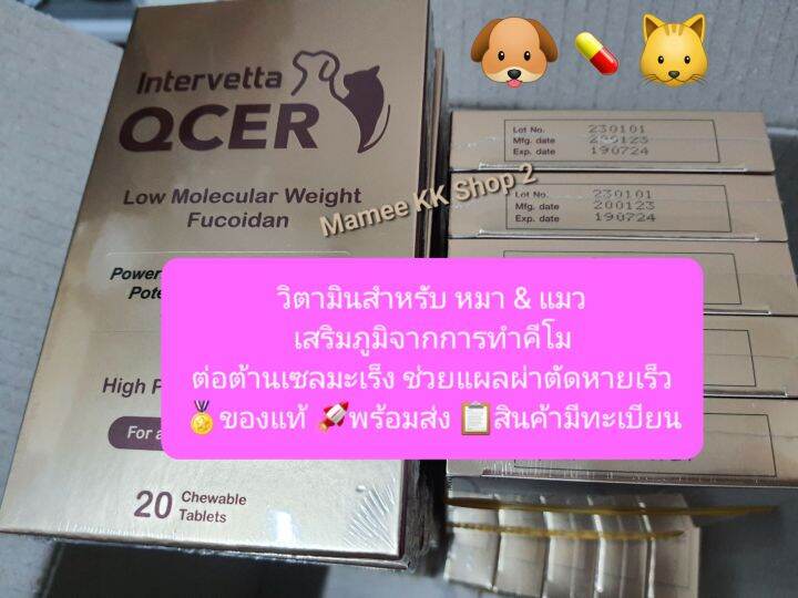 QCER มะเร็¤ง บำรุง เสริม 🏅 ของแท้ / แบ่งขาย | Lazada.co.th
