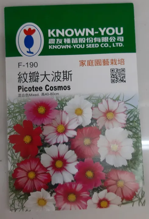 Picotee Cosmos Seeds | Lazada PH