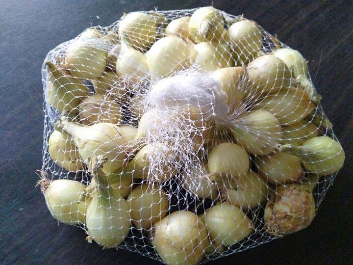 Sibuyas na puti (sold per kilo) | Lazada PH