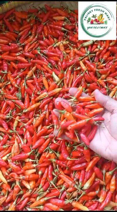 Cabe Rawit Merah 500 gr | Lazada Indonesia