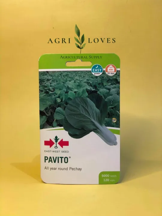 Pavito Pechay Seeds Sachet (5000 seeds) - East-West Seed | Lazada PH