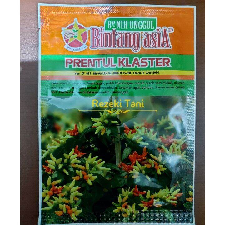 Benih Cabe Rawit Prentul klaster 10gr Bintang Asia | Lazada Indonesia