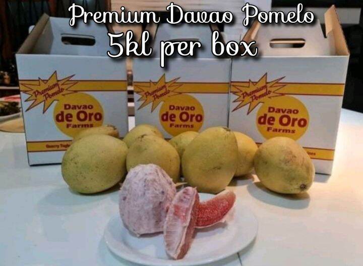5KL DAVAO POMELO PER BOX | Lazada PH