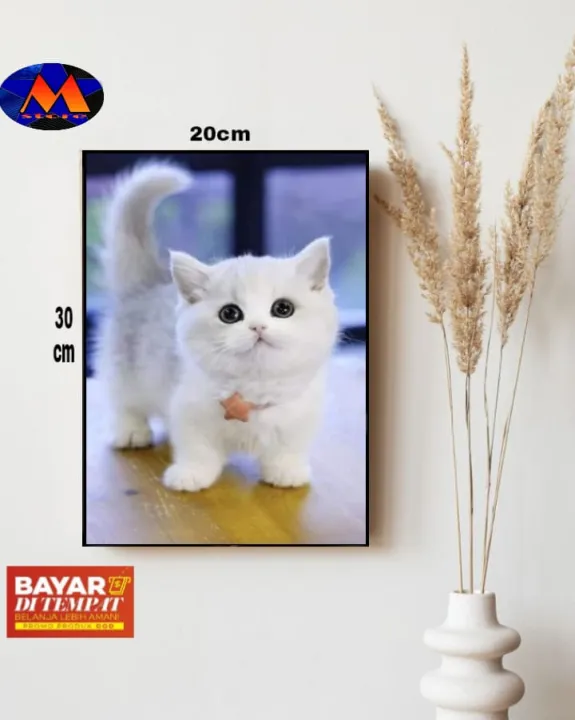 HIASAN DINDING GAMBAR KUCING/POSTER KAYU KUCING/POSTER KUCING LUCU ...