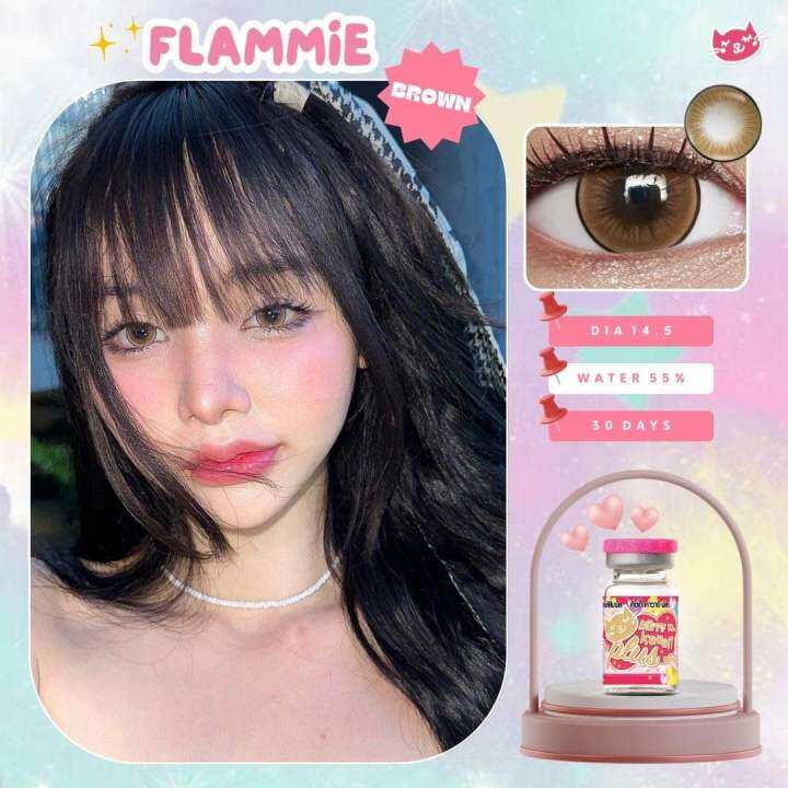 FLAMMI BROWN KAWAII น้ำตาลตาหวาน อมน้ำ55%💕 | Lazada.co.th