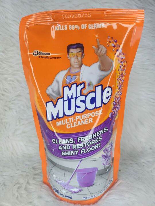 MR MUSCLE MULTI PURPOSE CLEANER 300ML | Lazada PH