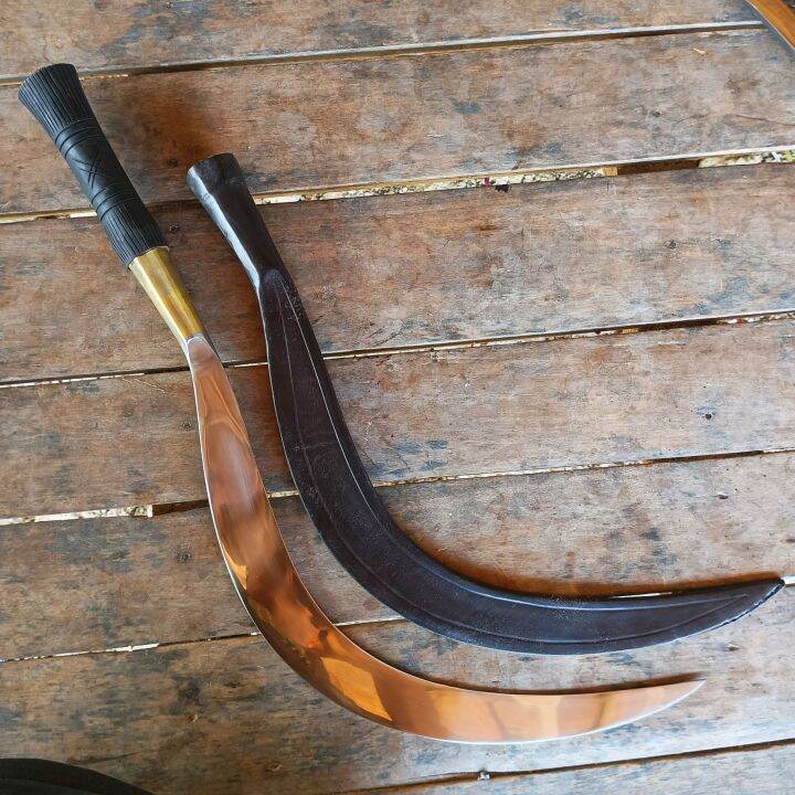 permadani dinding CELURIT bulu ayam 60 cm tegak | Lazada Indonesia