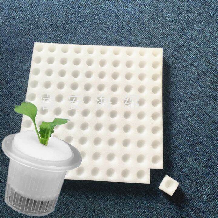 soilless hydroponic vegetables nursery sponge, horticultural foam ...