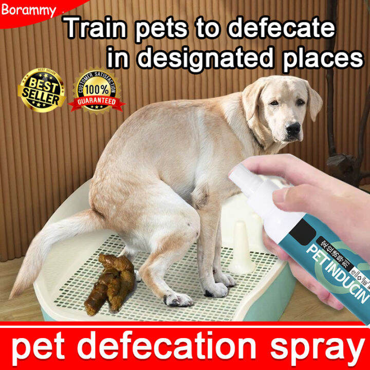 120ml Pet Defecation Inducer Dog Pee Inducer Spray Dog Toilet Training ...