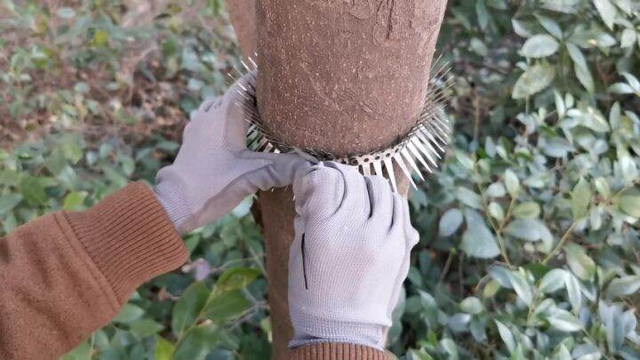 1Meter Stainless Steel Bird Spikes Rat Anti Climb Spikes for Deterring ...