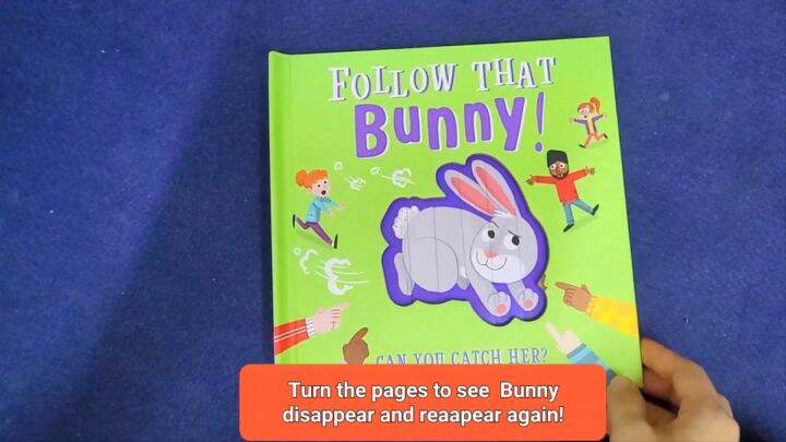 Interactive Storybook: Follow that Bunny! [Board Book for Children ...