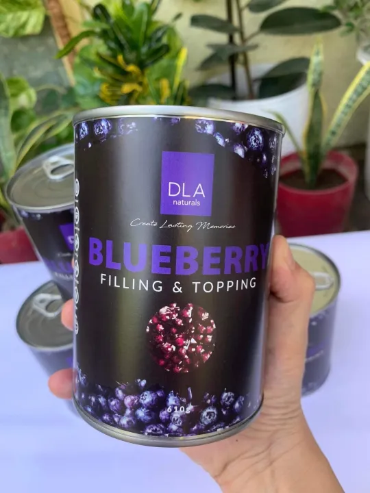 DLA Blueberry Filling & Topping 610g | Lazada PH