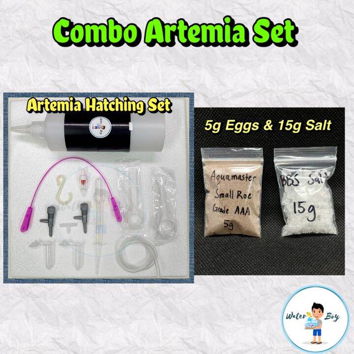 SET Artemia Hatching Incubator / BBS Hatching Kit | Lazada