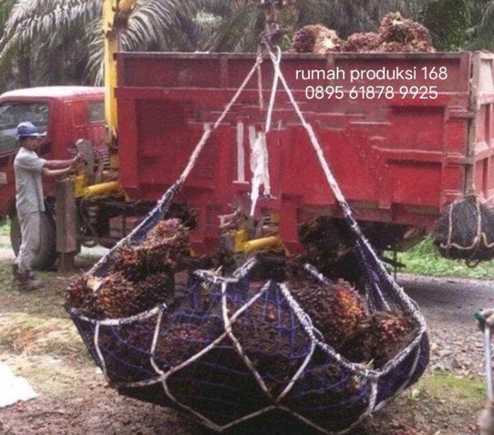 jaring angkat sawit loading net kargo net cargo net | Lazada Indonesia