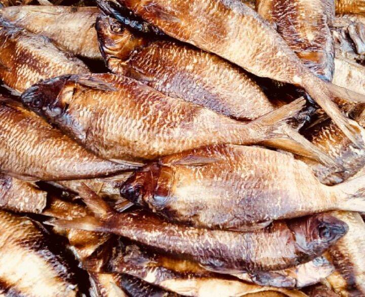 Freshly Smoked BONGA Fish (AGBODO Imported from 9ja) RM19.99/pack | Lazada