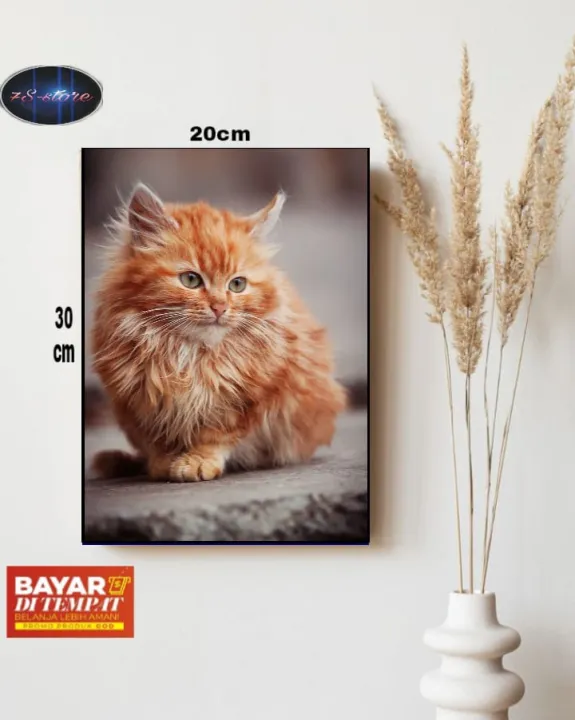 HIASAN DINDING GAMBAR KUCING/POSTER KAYU KUCING ANGORA/POSTER KUCING ...