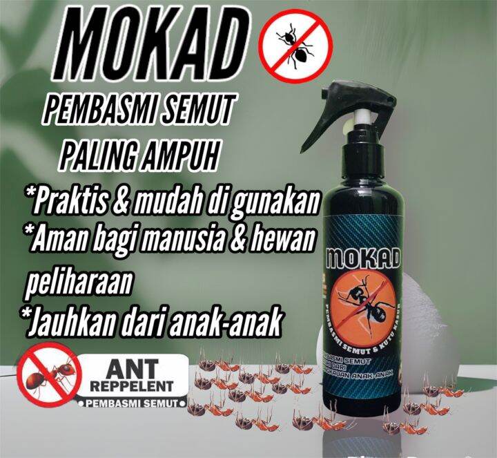 MOKAD Pembasmi semut paling ampuh 250ml spray refill, anti semut, racun ...