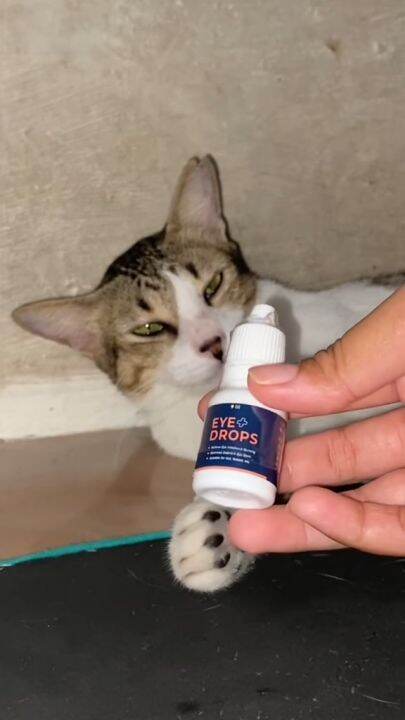 Clever Solutions - EYE PLUS DROPS (Obat Tetes Mata Kucing, Obat Sakit ...