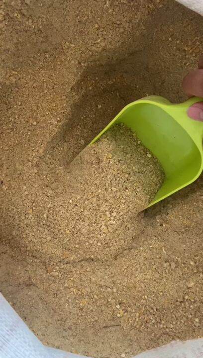 Dedak Ayam Telur 1KG (repack) | Lazada