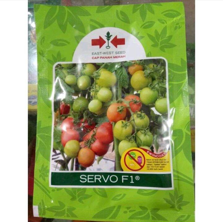 Benih Tomat Servo F1 1750 butir | Cap Panah Merah | Lazada Indonesia