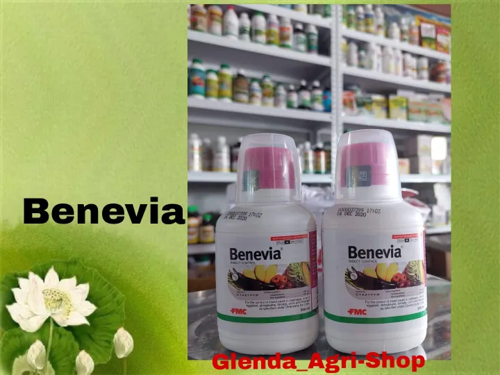 Benevia Insect Control 250mL (FMC) | Lazada PH