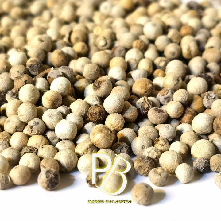 LADA PUTIH BUTIR WHITE PEPPER REMPAH MERICA | Lazada Indonesia