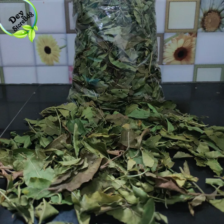 Daun Mindi kering per 100 grm alami | Lazada Indonesia