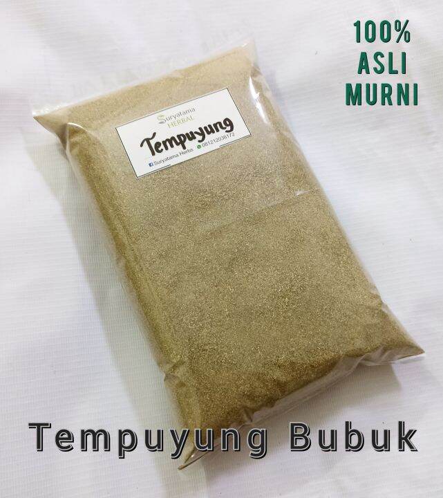 Tempuyung Bubuk 500 gram / Serbuk Daun Tempuyung | Lazada Indonesia