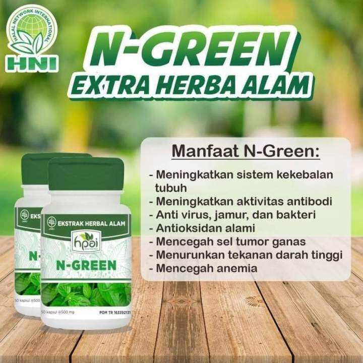 HNI N-GREEN /ORI/ herbal/anemia/imun/antioksidan/kesehatan dll | Lazada ...
