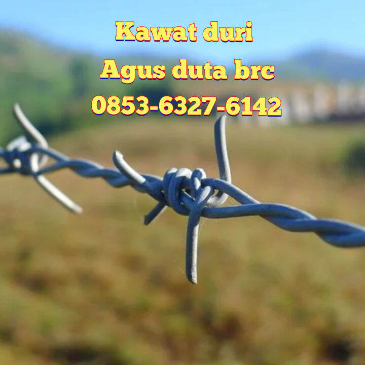 Kawat duri hot dip galvanis panjang 30meter | Lazada Indonesia