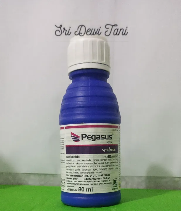 Insektisida PEGASUS 500sc 80ml | Lazada Indonesia