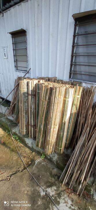 100 Batang Buluh pancang 3 kaki 8 inci sesuai untuk tanaman fertigasi ...