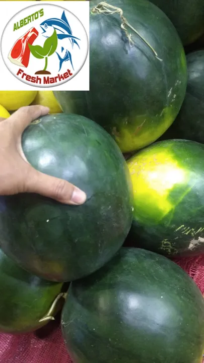 Fresh Water Melon (Pakwan) 1pc | Lazada PH