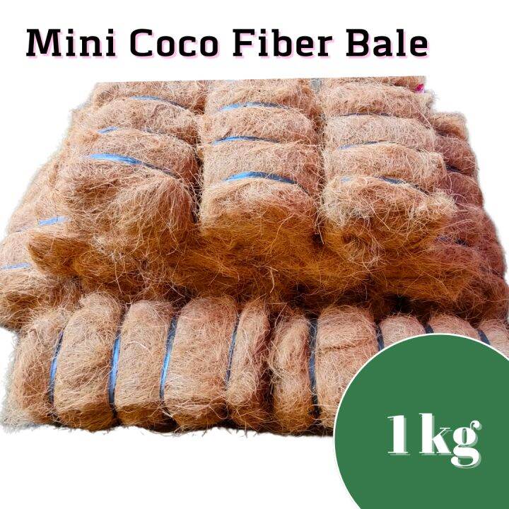 500 grams Best And high quality Coco fiber Ever for Plants . Coco Fiber ...