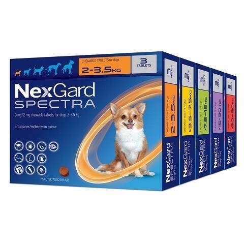 Nexgard Spectra Chewable Tablet for Dogs 7.5-15kgs | Lazada PH