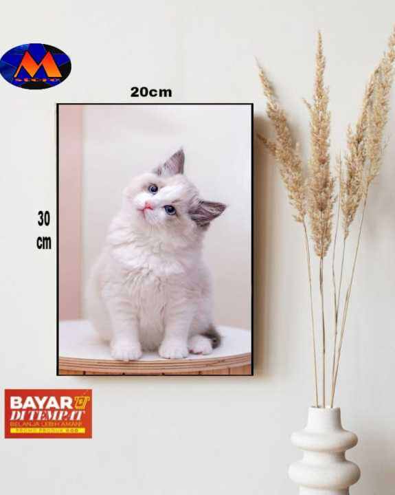 HIASAN DINDING TEMA KUCING/POSTER KAYU KUCING/KUCING ANGORA/KUCING ...