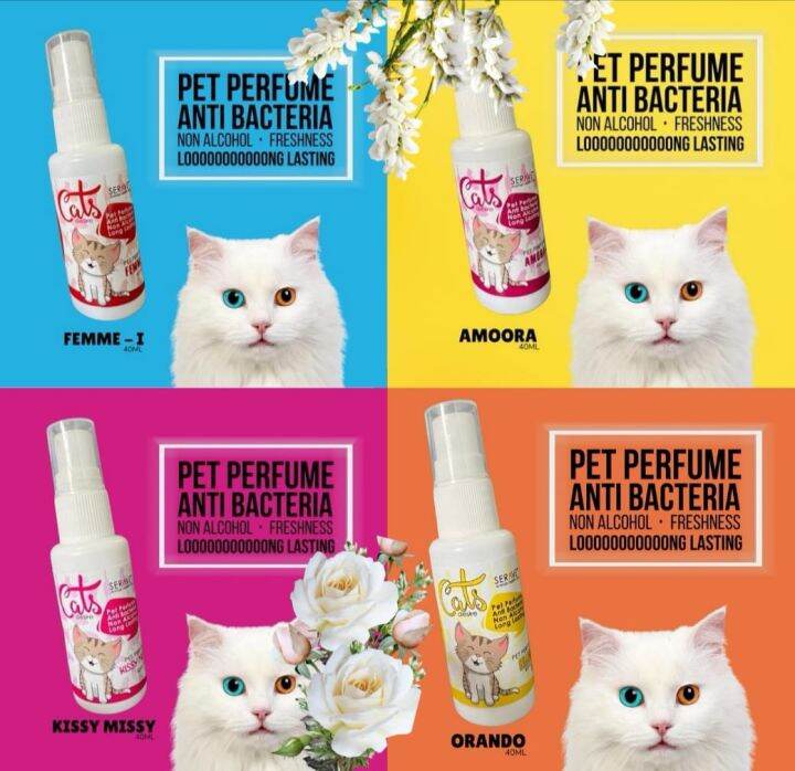 Cat desire perfume 40ml | Lazada