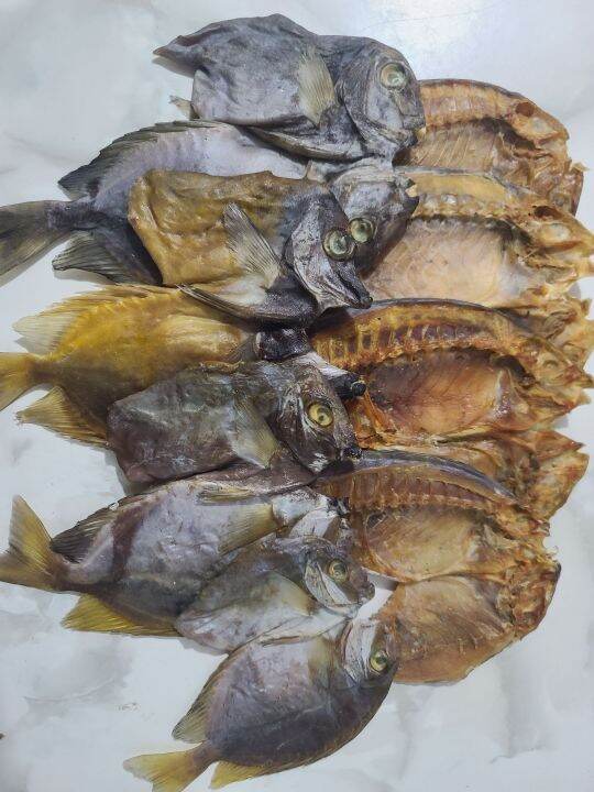 Dried Fish Danggit with Bone 250g Palawan | Lazada PH